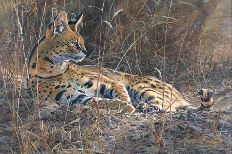 Artist In-Residence - Kim Diment, Acrylic Painting - Sunrise Coast Pure ...